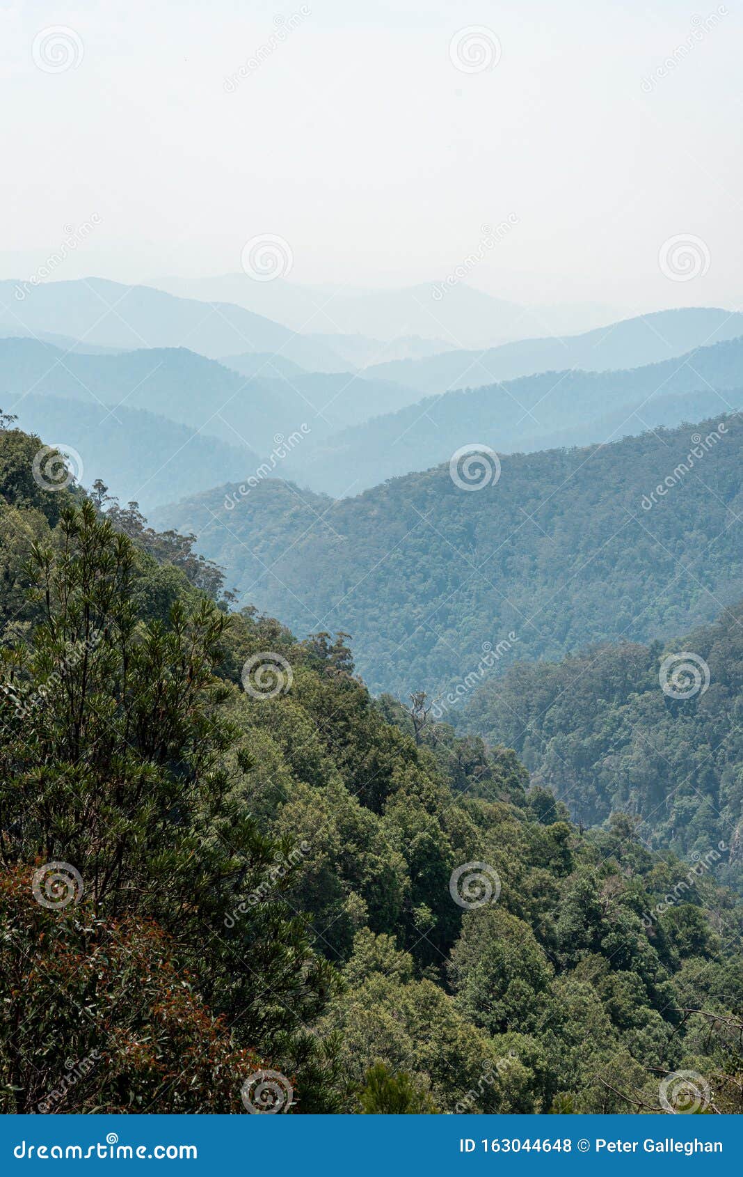 Gloucester Falls Walking Track Look Out at Smoke from Wild Fires Stock ...