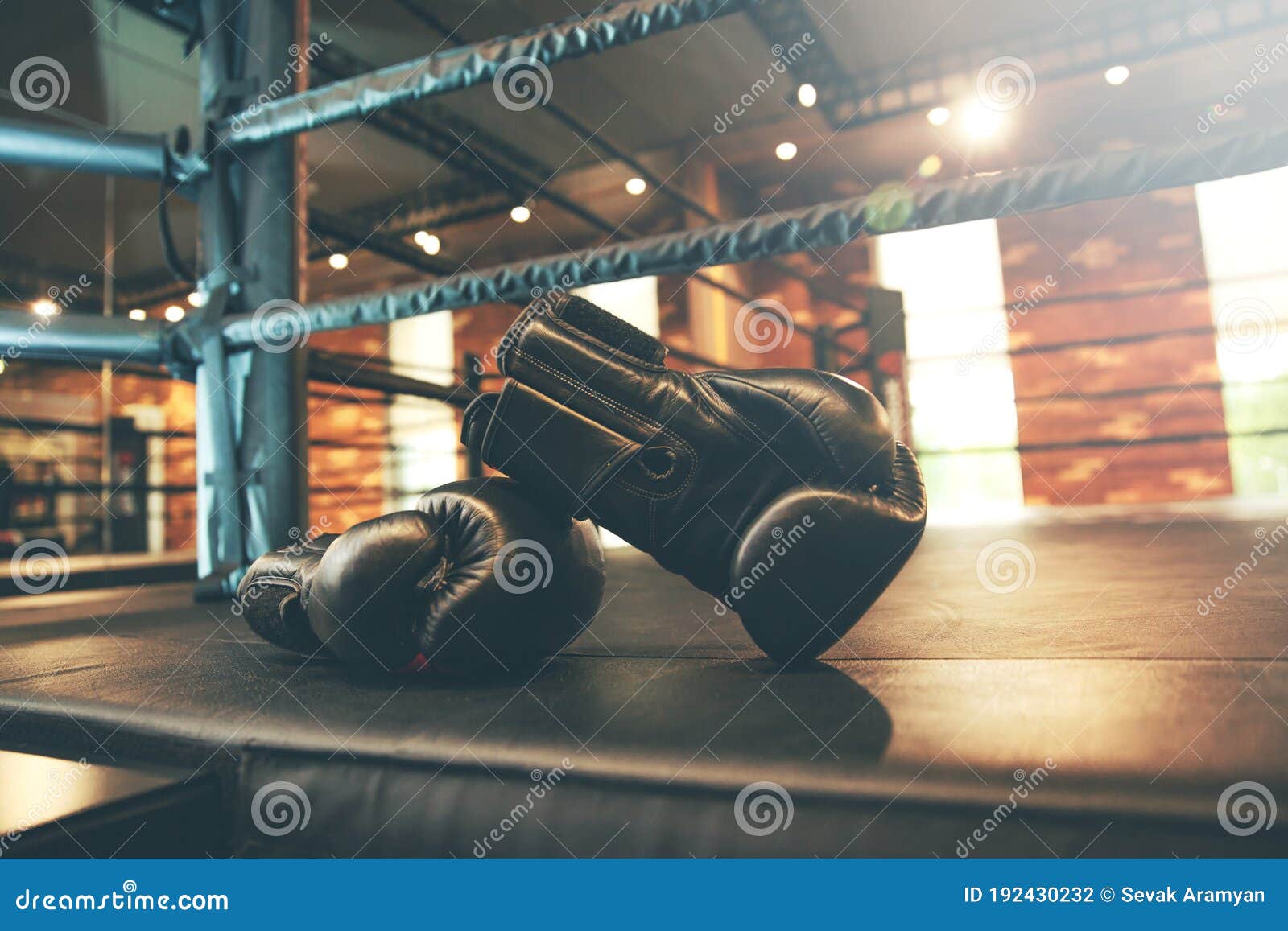 Glove in Boxing Glove on Boxing Ring in Gym Stock Photo - Image of ...