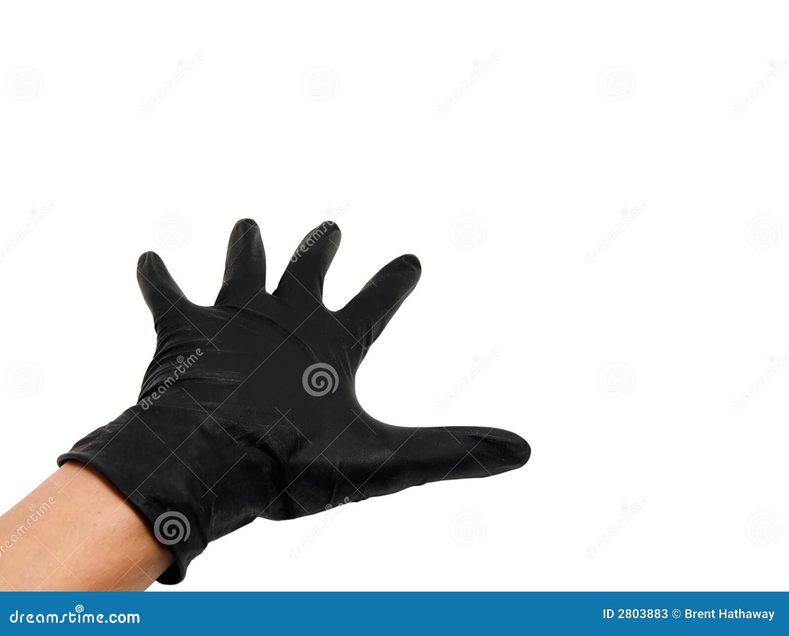 Gloved Hand stock image. Image of hand, fingers, white - 2803883