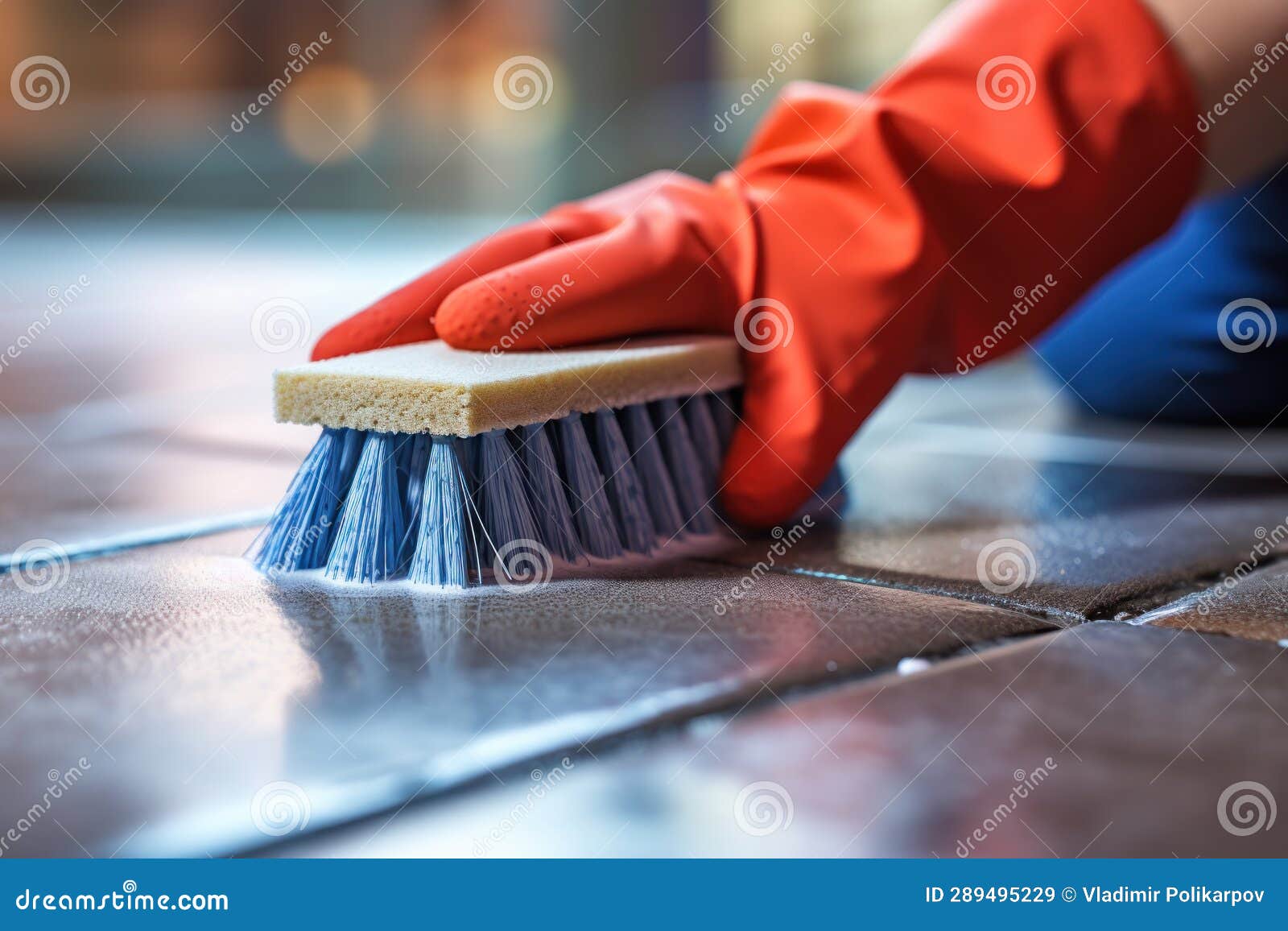 A Gloved Hand Brushes the Floor Stock Image - Image of bathroom ...