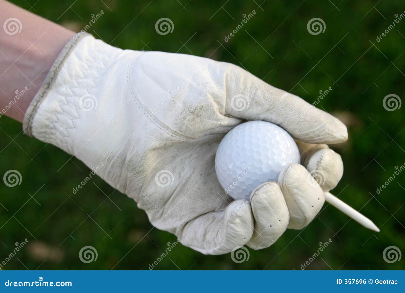 Gloved Hand Holding Golf Ball with Tee Stock Photo - Image of concept ...