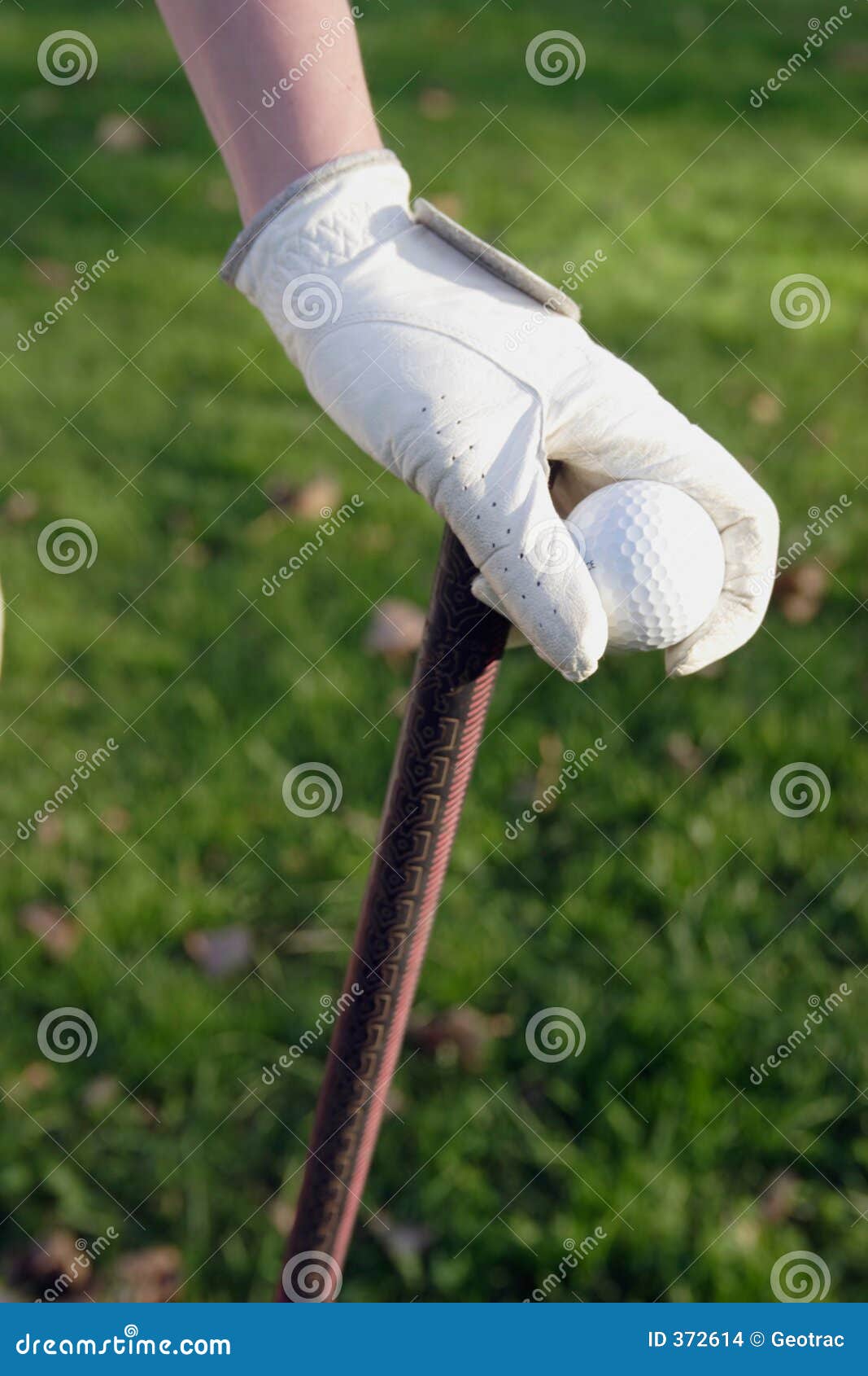Gloved Hand Holding a Golf Club Stock Photo - Image of accessory, lean ...