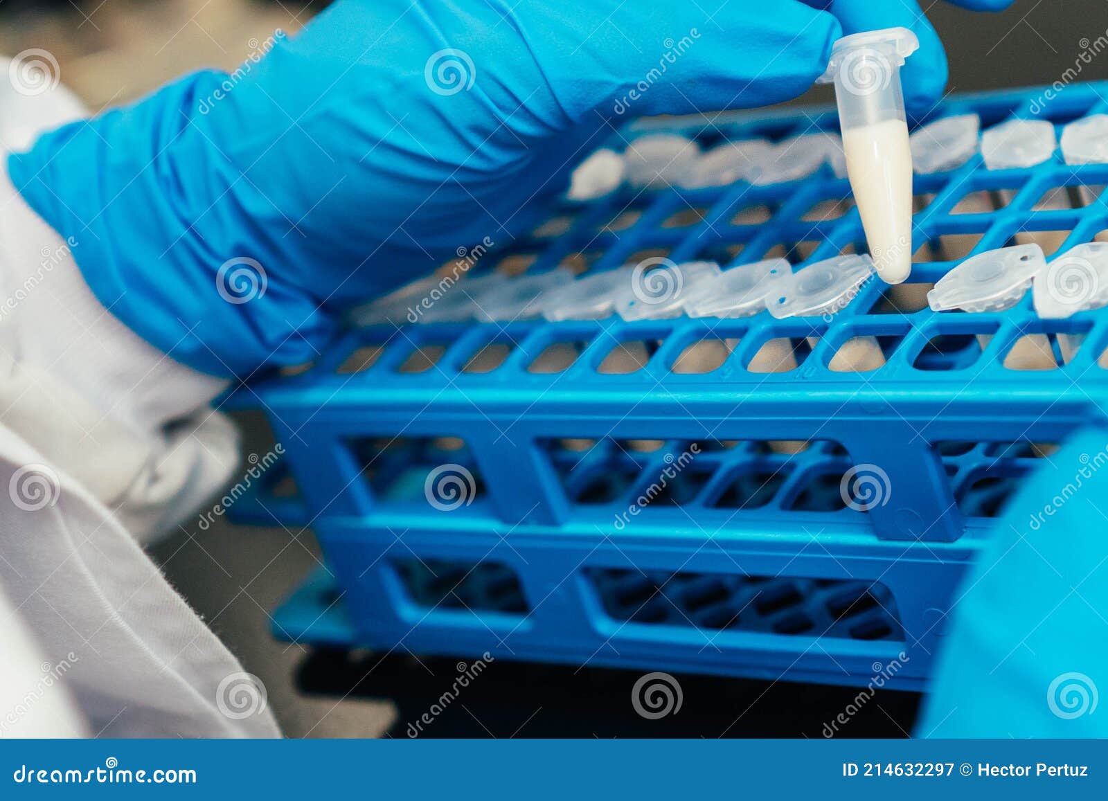 Laboratory Work With Plasmid DNA Extraction Royalty-Free Stock Photo ...