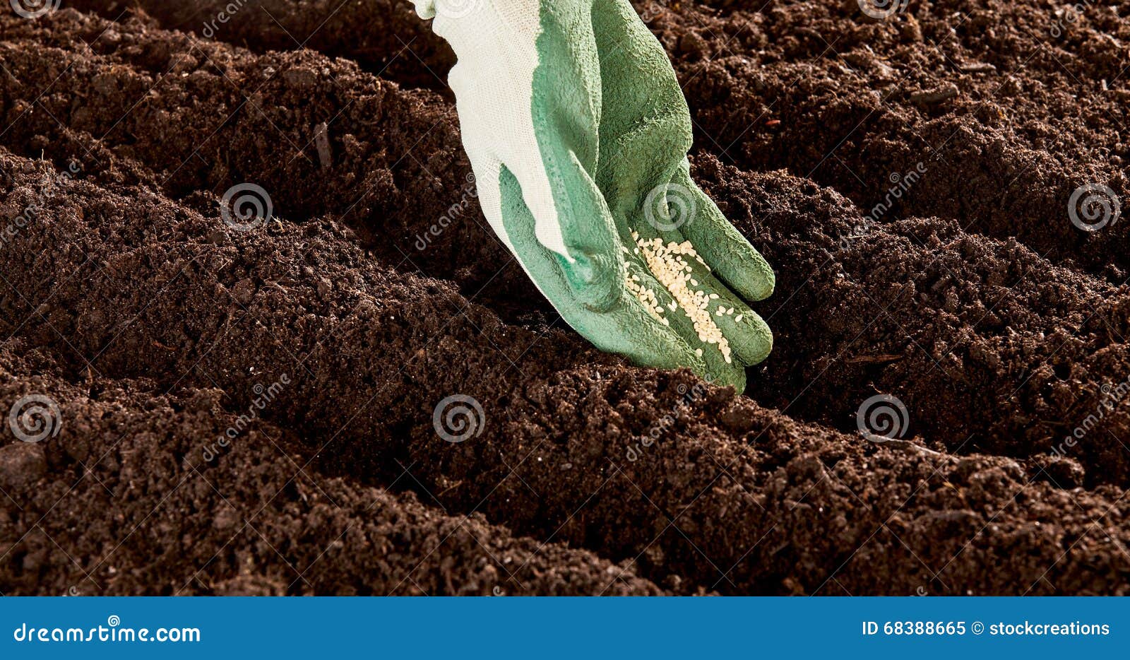 Planting Seeds Cloth Stock Photos - Free & Royalty-Free Stock Photos ...