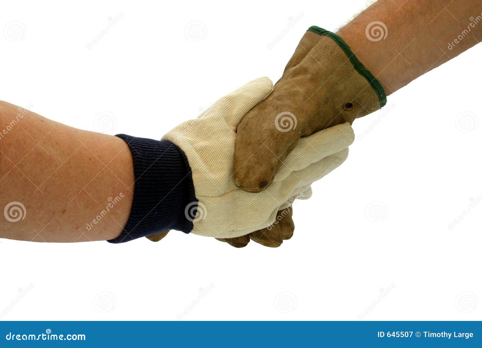 Gloved hand shake stock image. Image of fresh, hand, business - 645507