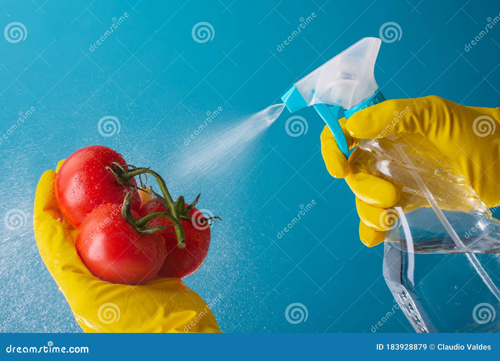 Gloved Hands Disinfecting Tomatoes with Water Spraying Solution Stock ...