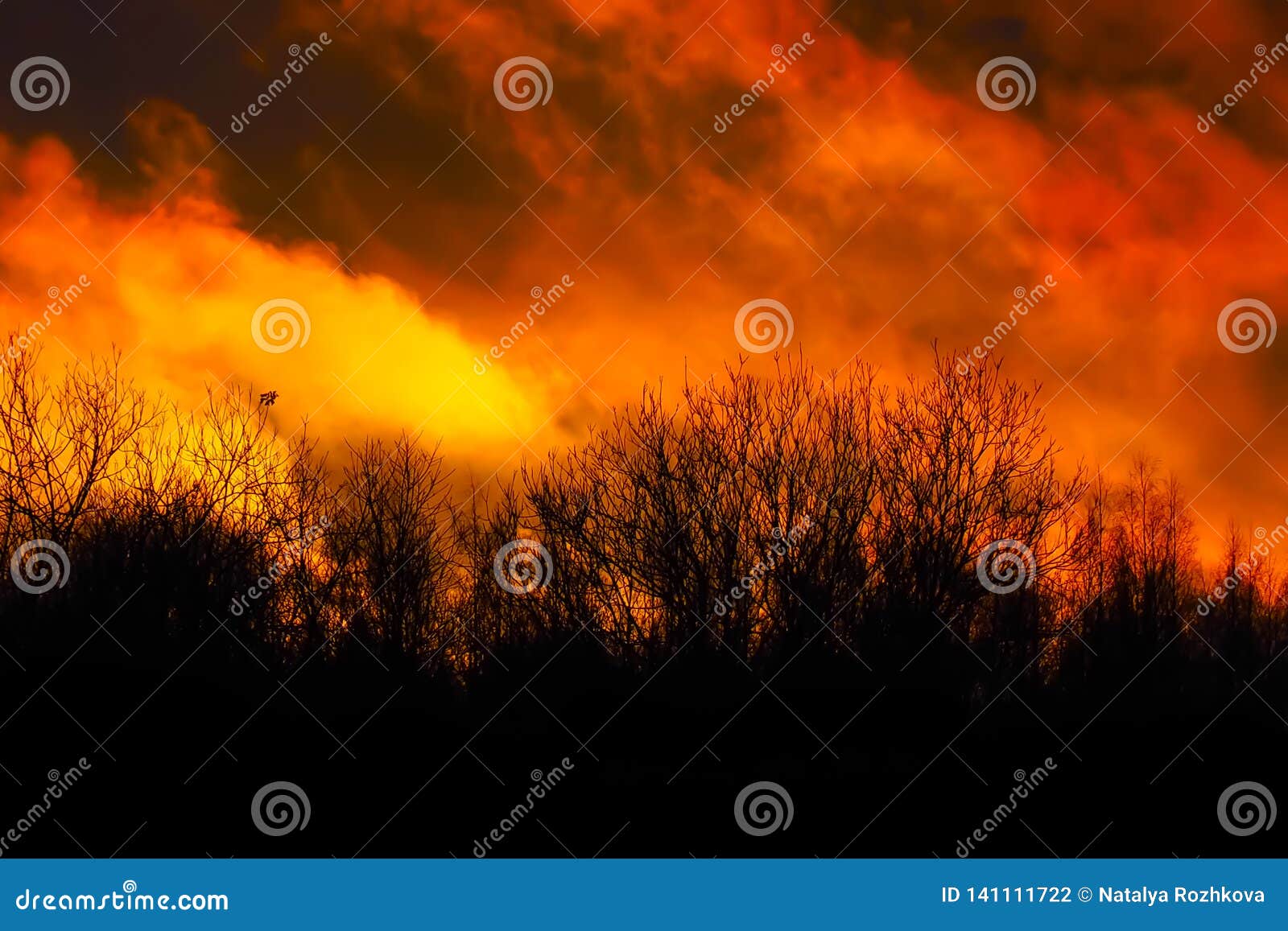 Glow of Fire Over the Wild Forest Stock Photo - Image of heat, bush ...