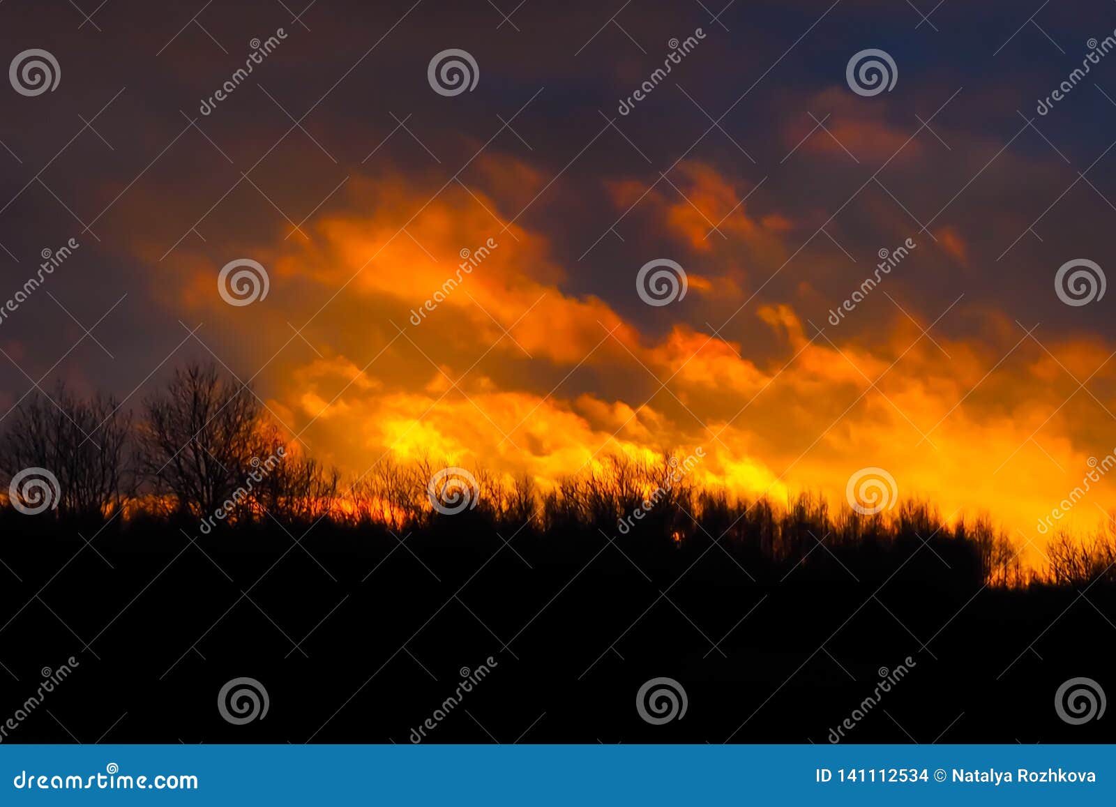 Glow of Fire Over the Wild Forest Stock Photo - Image of cloudscape ...