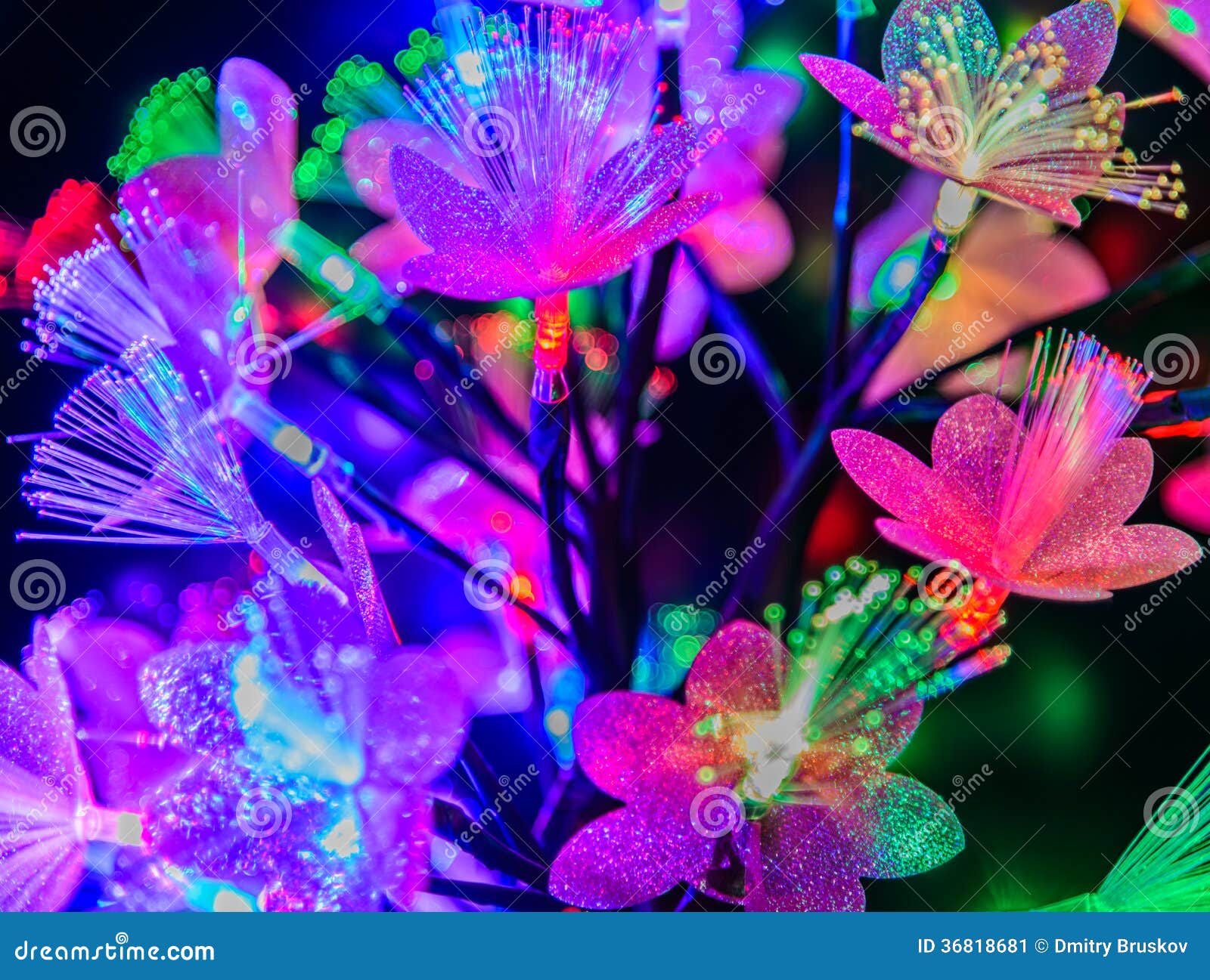 Glowing Flowers