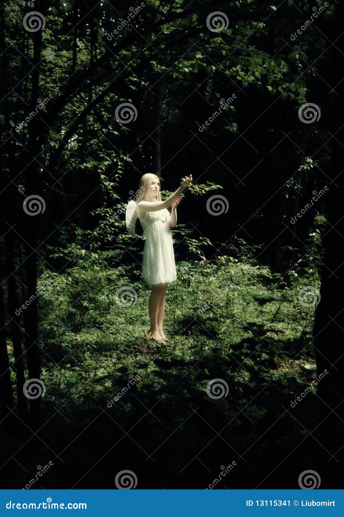 Glowing Angel in the Forest Stock Image - Image of moonlight, leaves ...