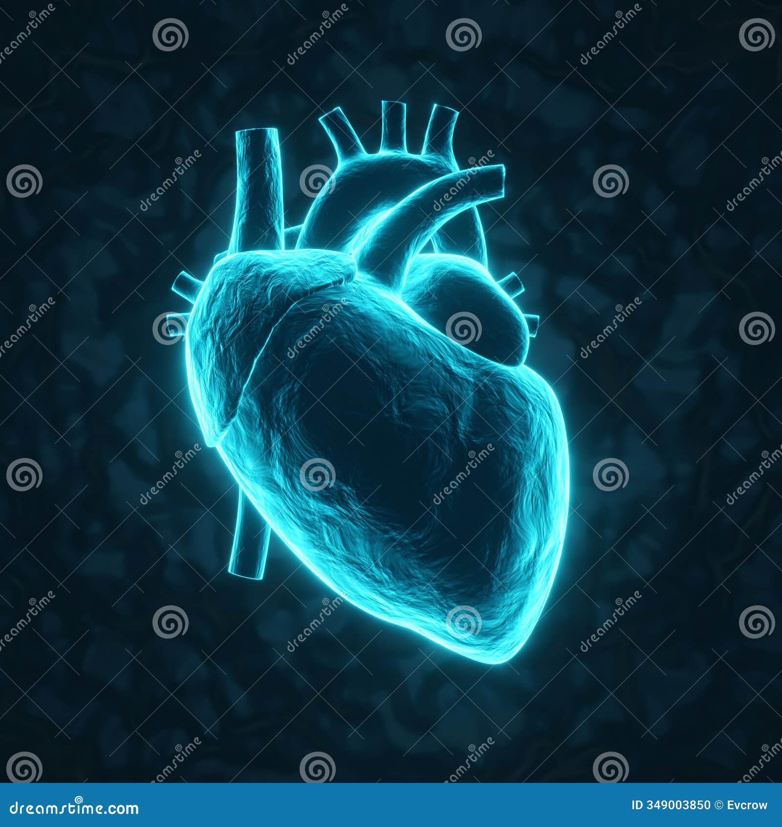 Glowing Blue Human Heart on a Dark Blue Background. X-ray Hologram ...