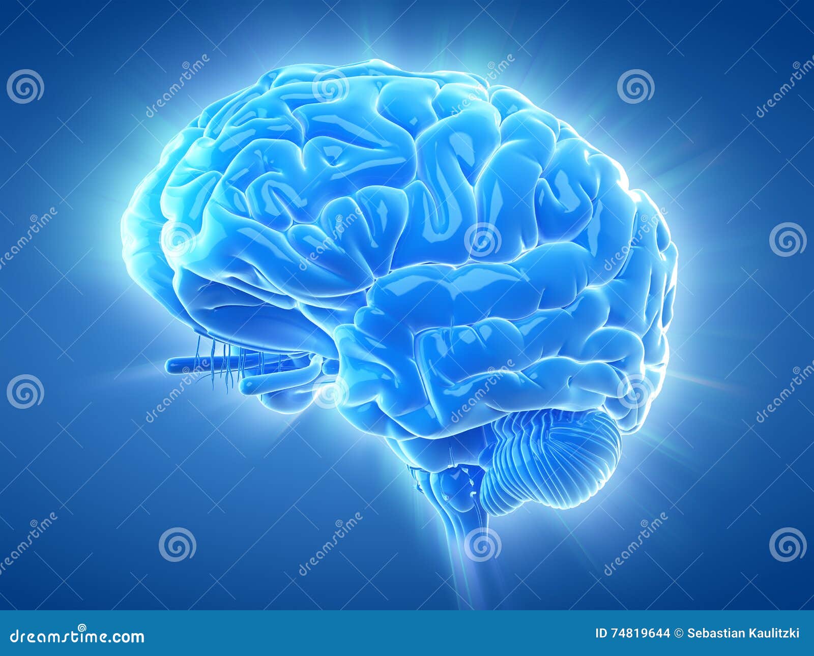 A glowing brain stock illustration. Illustration of graphic - 74819644