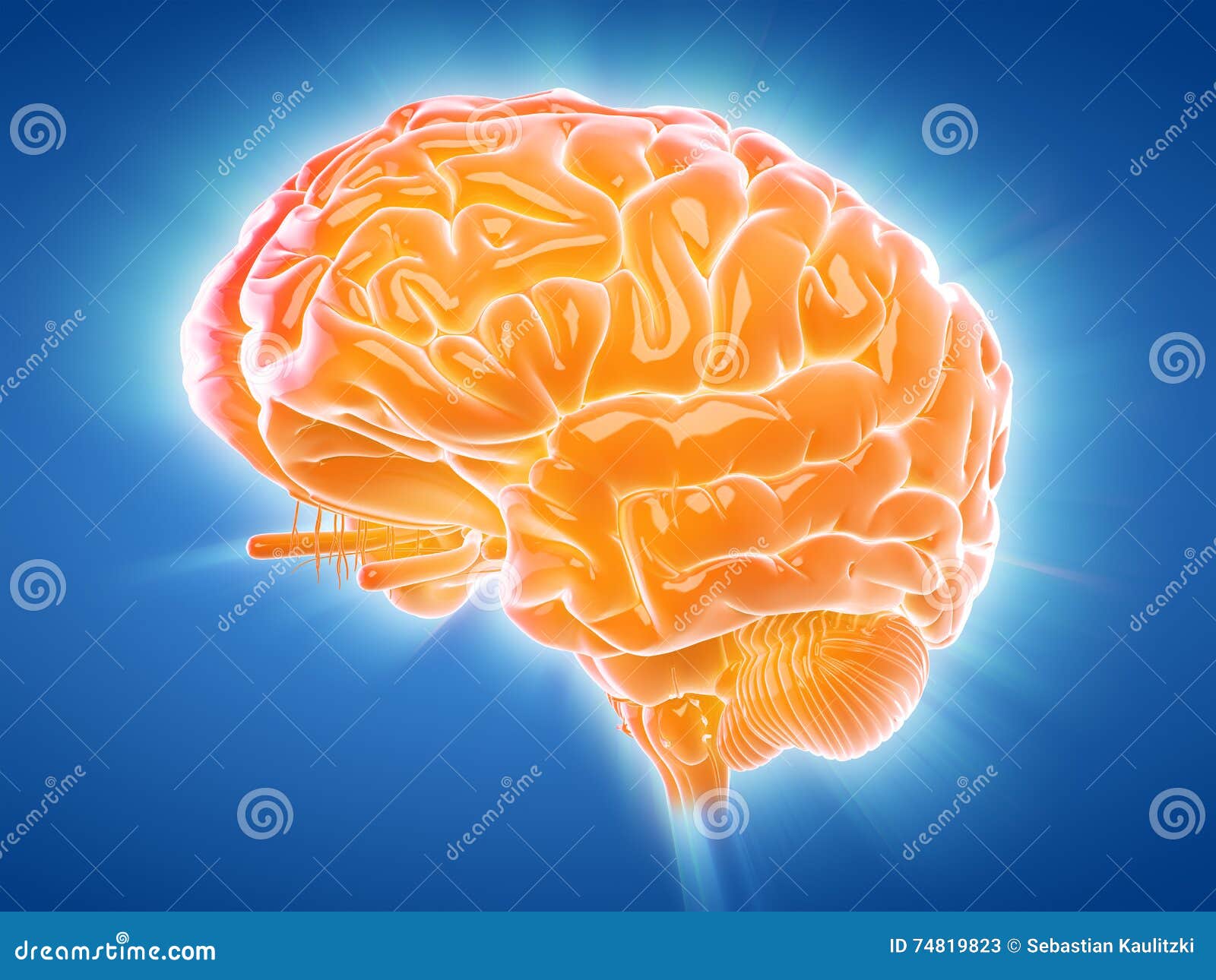 Glowing Brain In A Light Bulb. Futuristic Plexus Lines Network ...