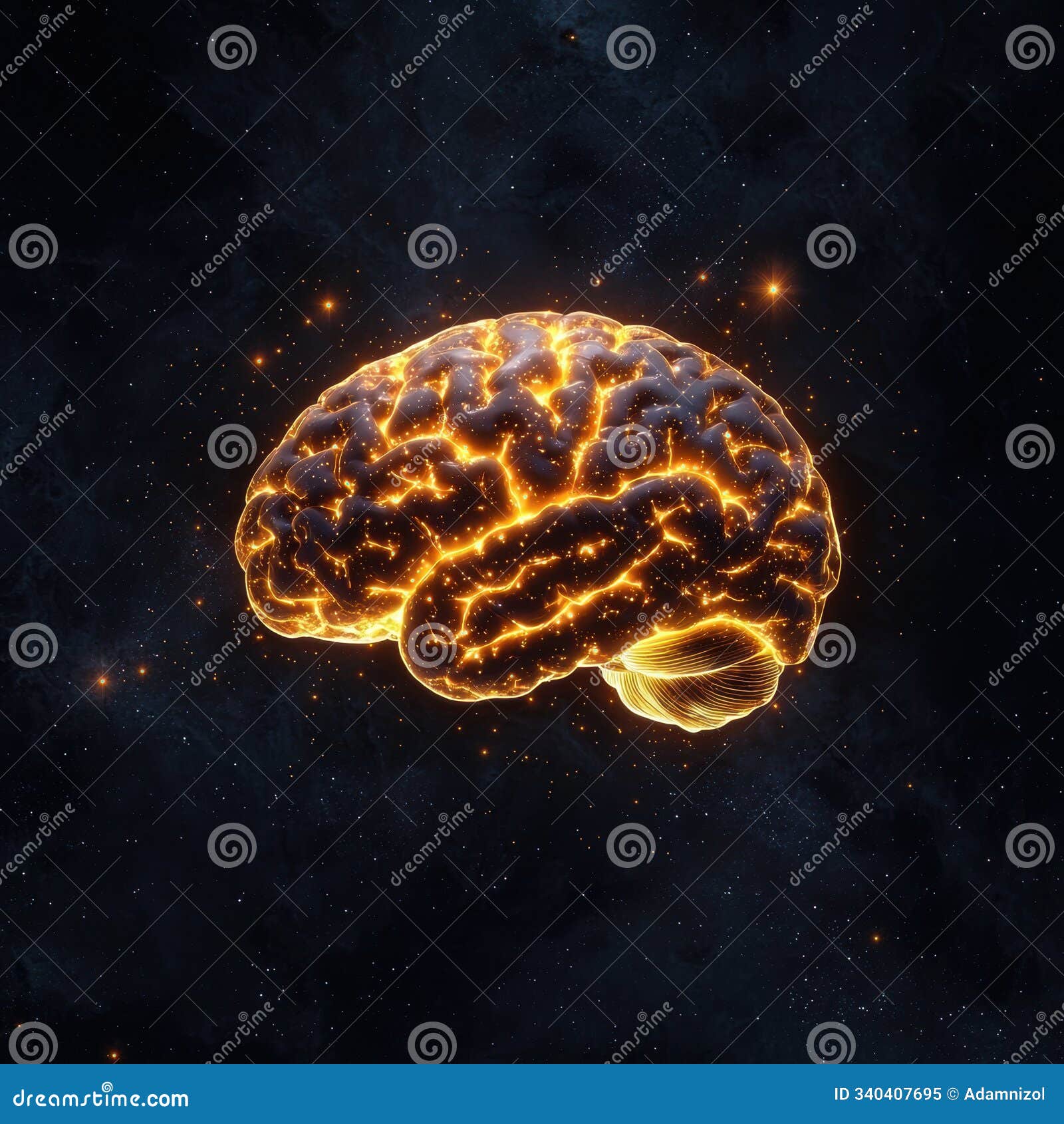 From Stardust To Cells: Tracing The Evolution Of Life Created With ...