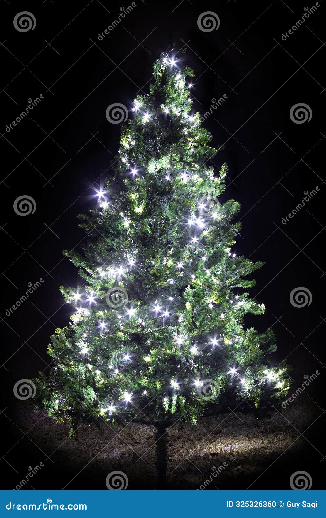 Glowing Christmas Treee Outside at Night Stock Photo - Image of minimal ...