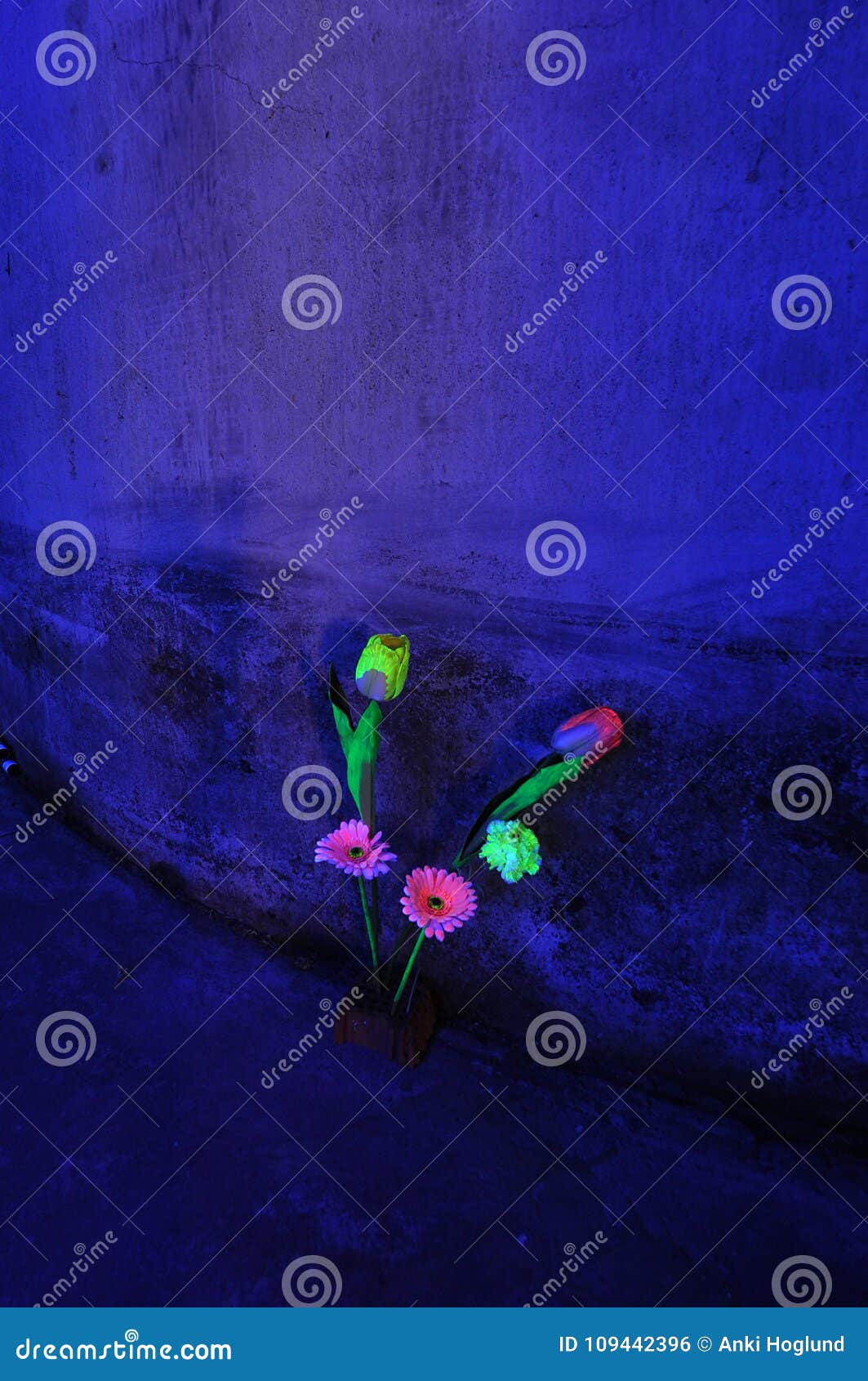 Glowing colorful flowers stock photo. Image of shiny - 109442396