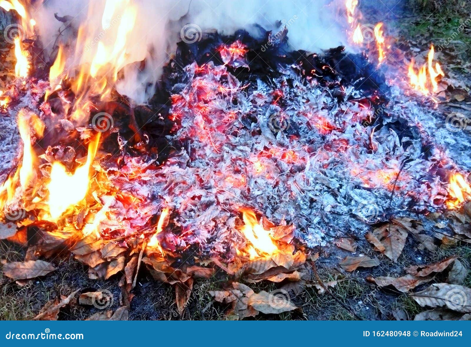 Glowing Embers Fire and Smoke Stock Photo - Image of ashes, garden ...