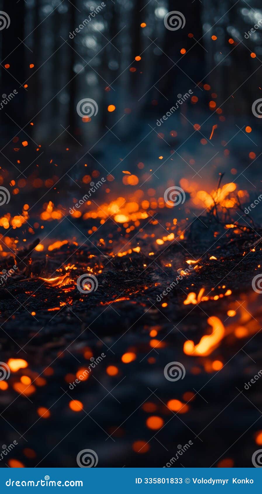 Glowing Embers on Forest Floor at Night Stock Image - Image of embers ...