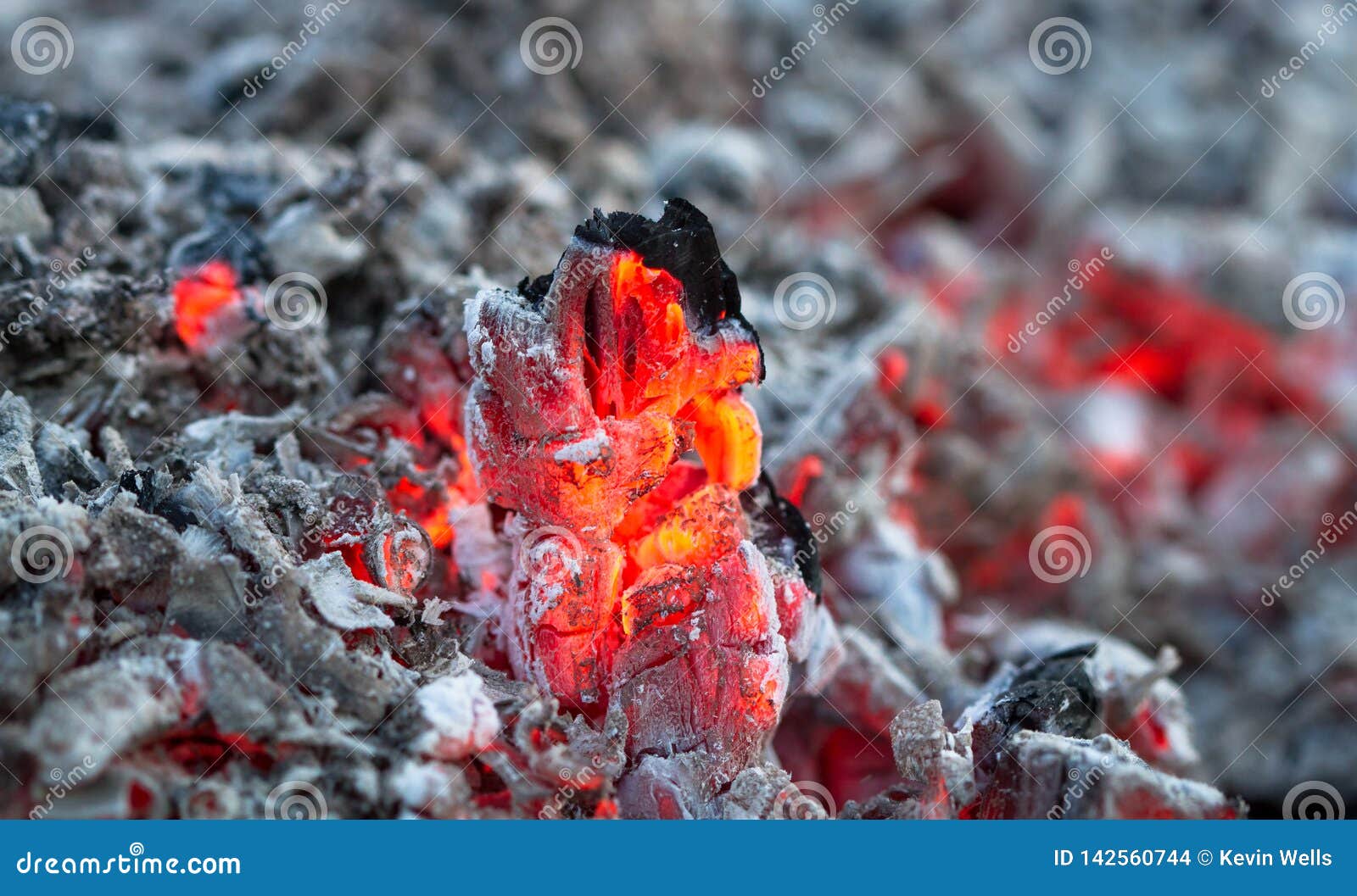 Glowing Embers in a Pile of Hot Coals Stock Photo - Image of coal ...