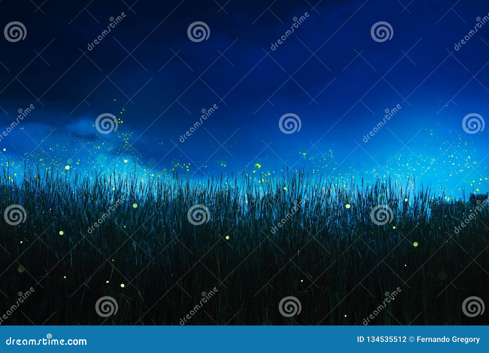 Firefly on a Grass Field at Night Stock Photo - Image of forest, flying ...