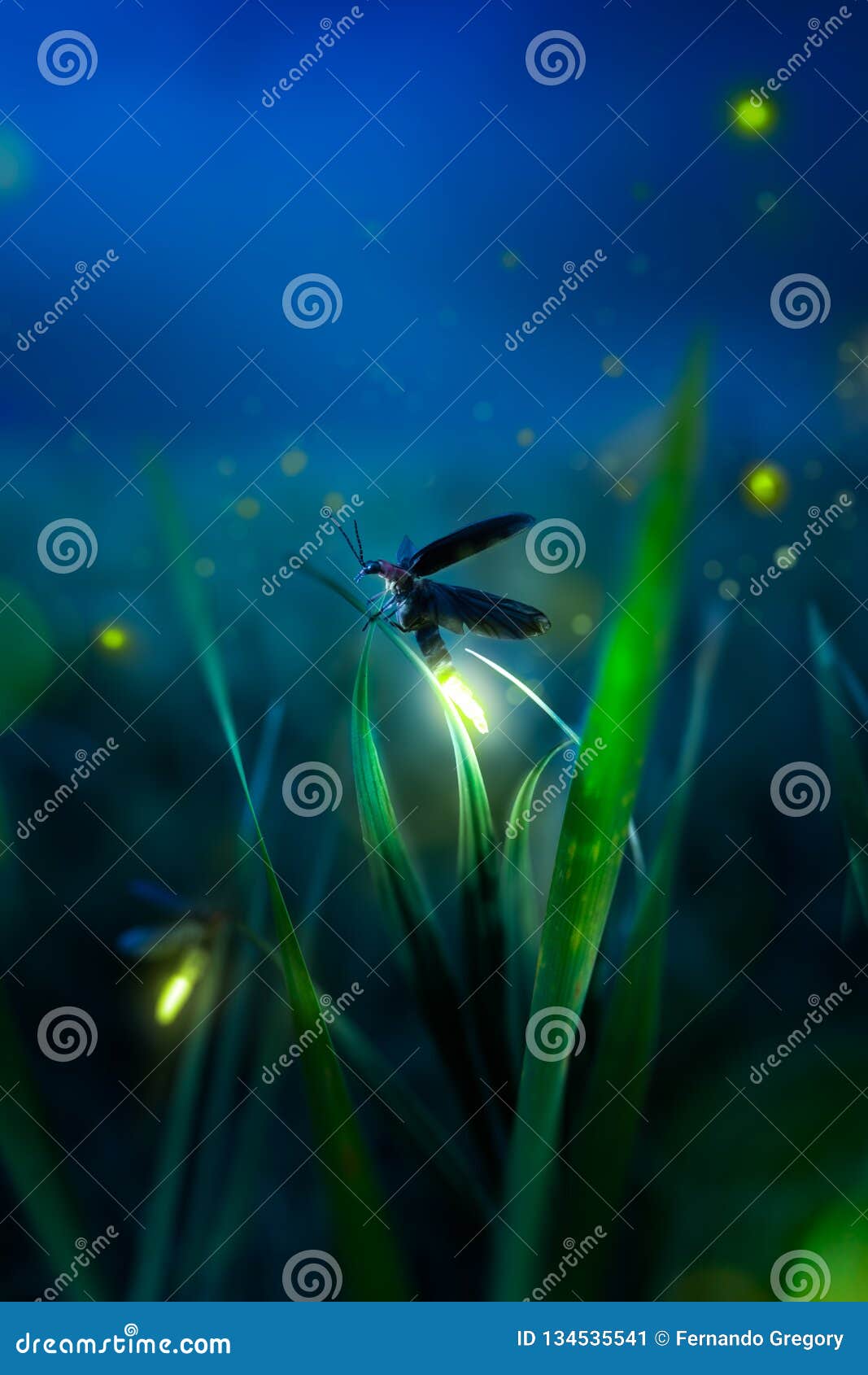 Filed Evening Stock Illustrations – 99 Filed Evening Stock ...