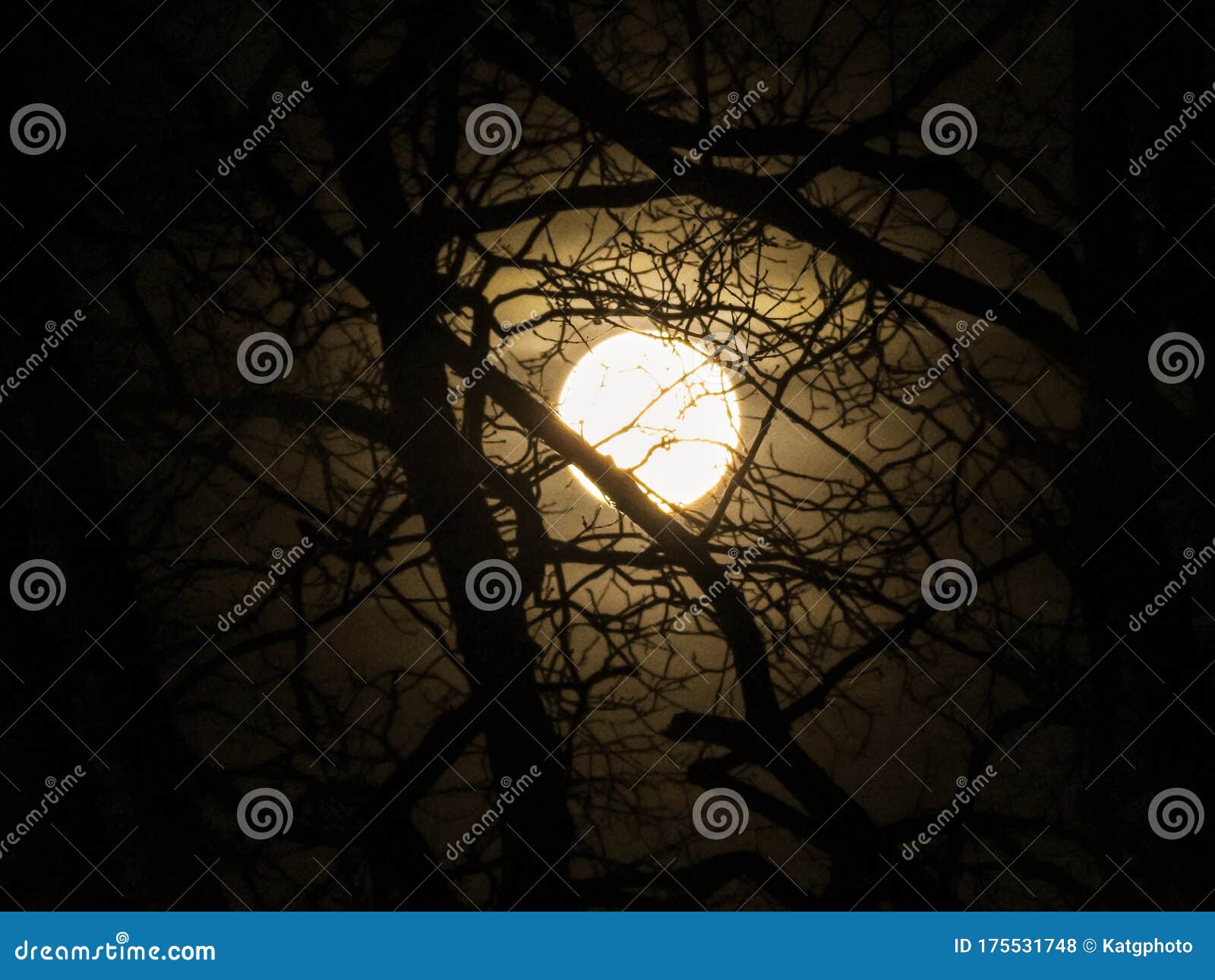 Glowing Full Moon Behind Wispy Layers Of Moody Clouds, Atmospheric ...