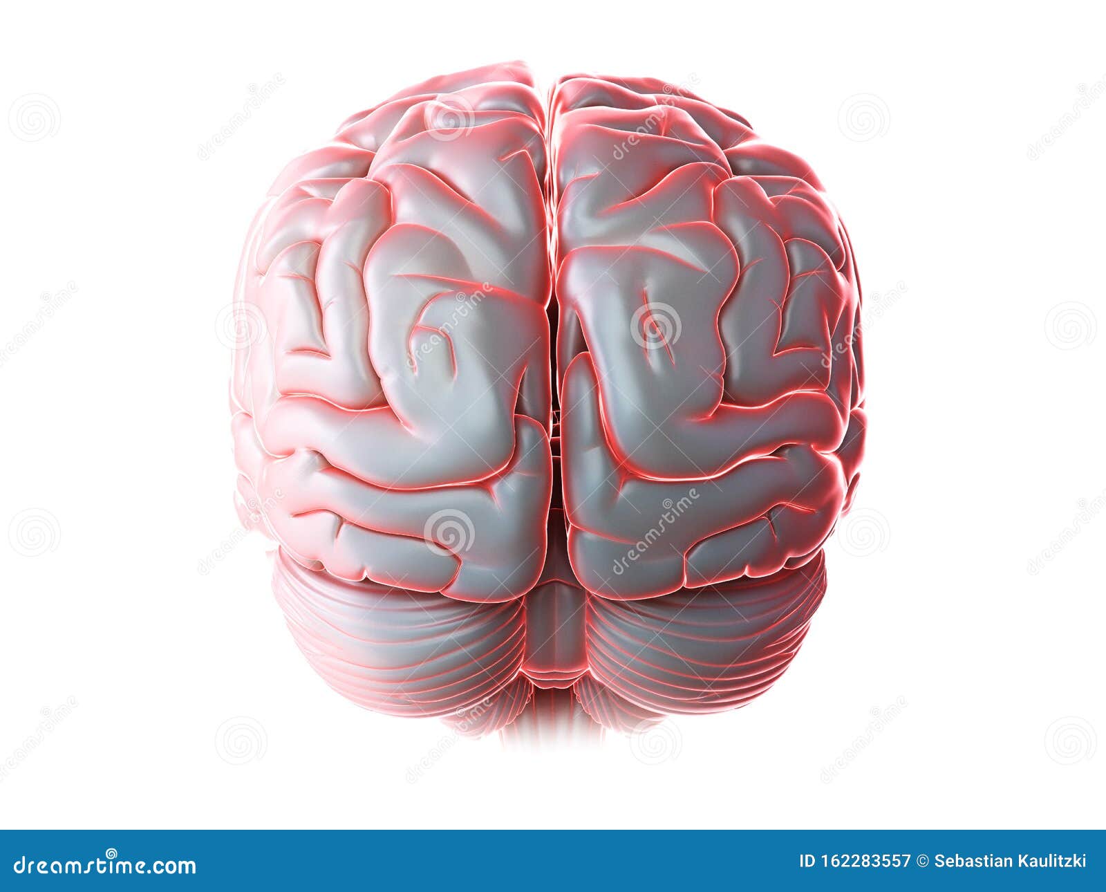 A glowing human brain stock illustration. Illustration of brainstorm ...