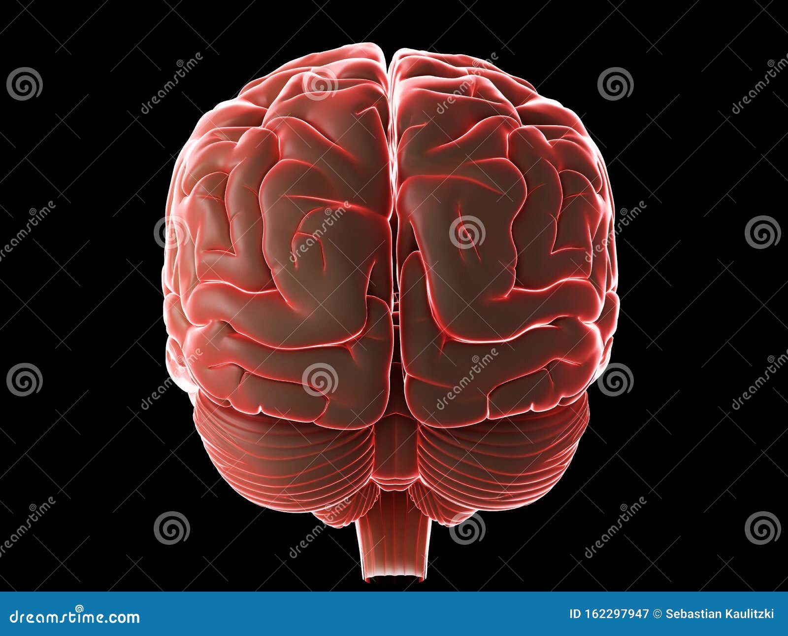 GLOWING HUMAN BRAIN WITH RED LEARNER L PLATE Royalty-Free Stock ...