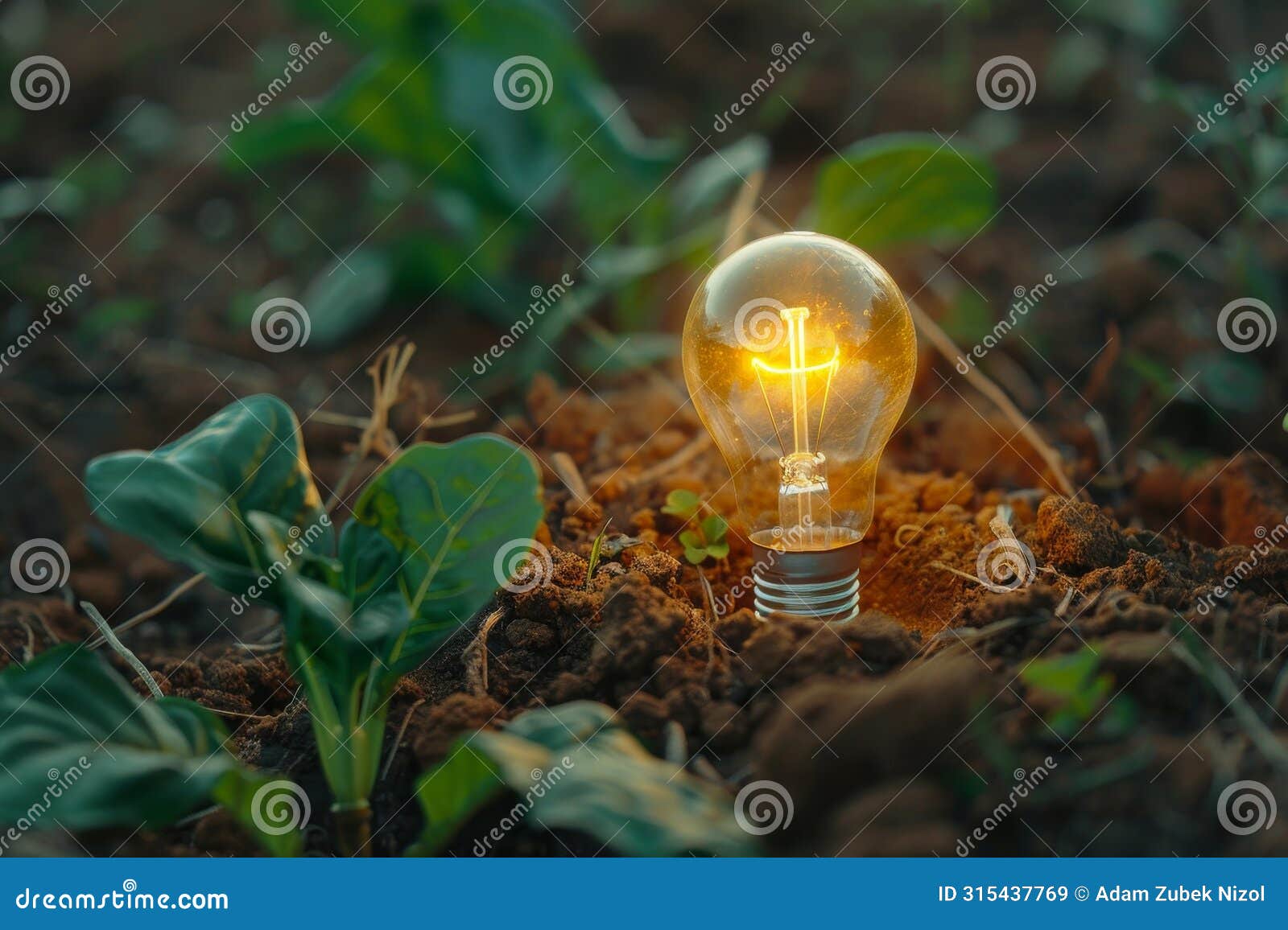Glowing Light Bulb in Soil Surrounded by Green Leaves, Symbolizing Eco ...