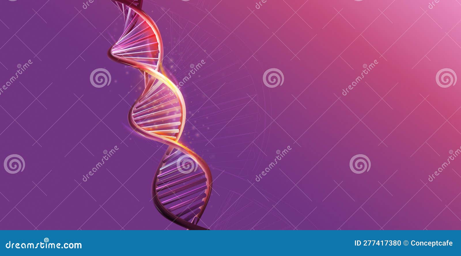 DNA Double Helix Model on a Purple Background. Stock Illustration ...