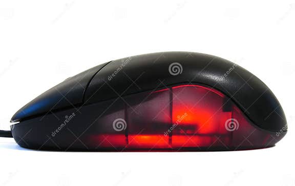 Glowing Mouse stock photo. Image of computer, optical, black - 304902
