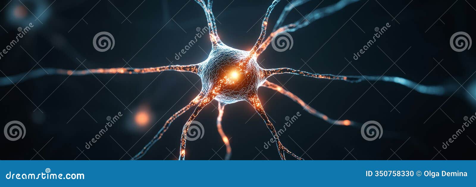 Neuron Transmitting Signals in the Nervous System Stock Photo - Image ...