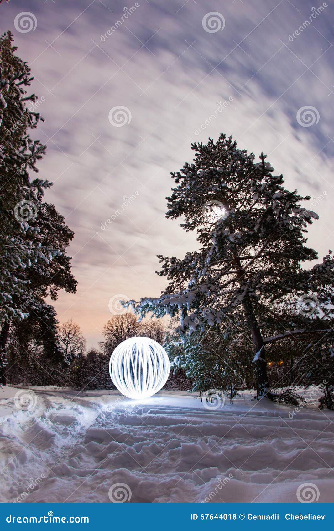 Glowing Orb in the Winter Pine Forest Stock Photo - Image of glow ...