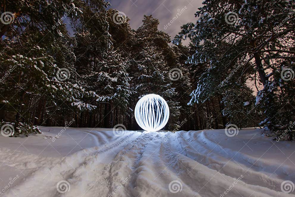 Glowing Orb in the Winter Pine Forest Stock Image - Image of cold ...