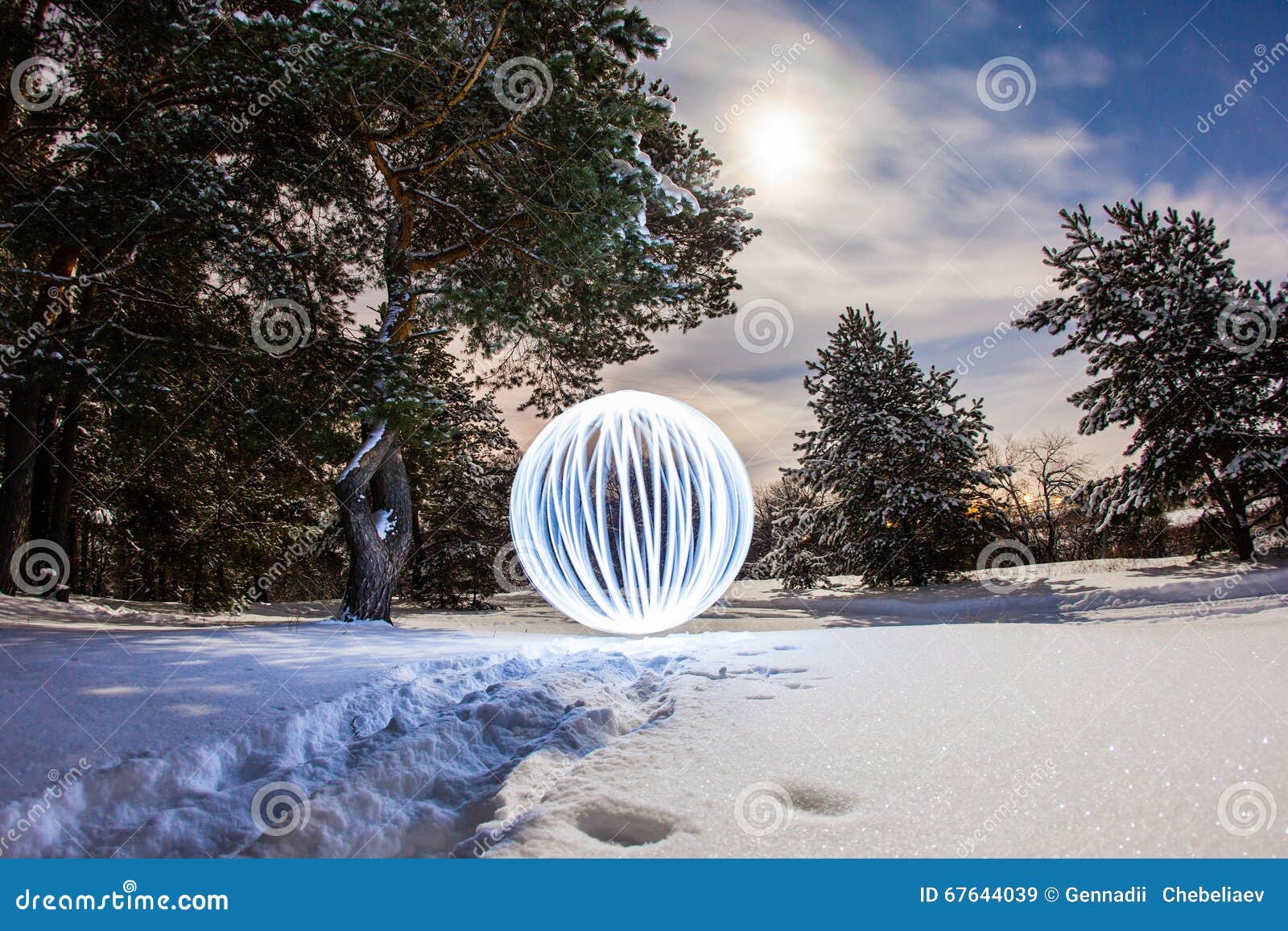 Glowing Orb in the Winter Pine Forest Stock Image - Image of plate ...