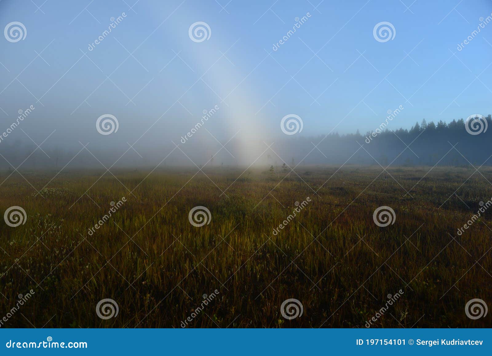 Glowing of a Rainbow on a Forest Swamp in the Fog at Dawn Stock Image ...