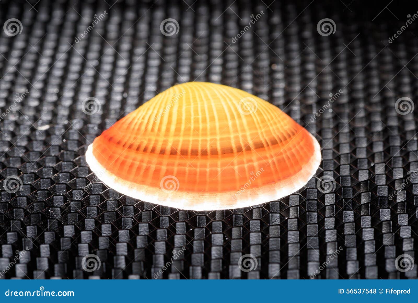 Glowing Shell on a Black Structured Background with Honeycomb Pattern ...