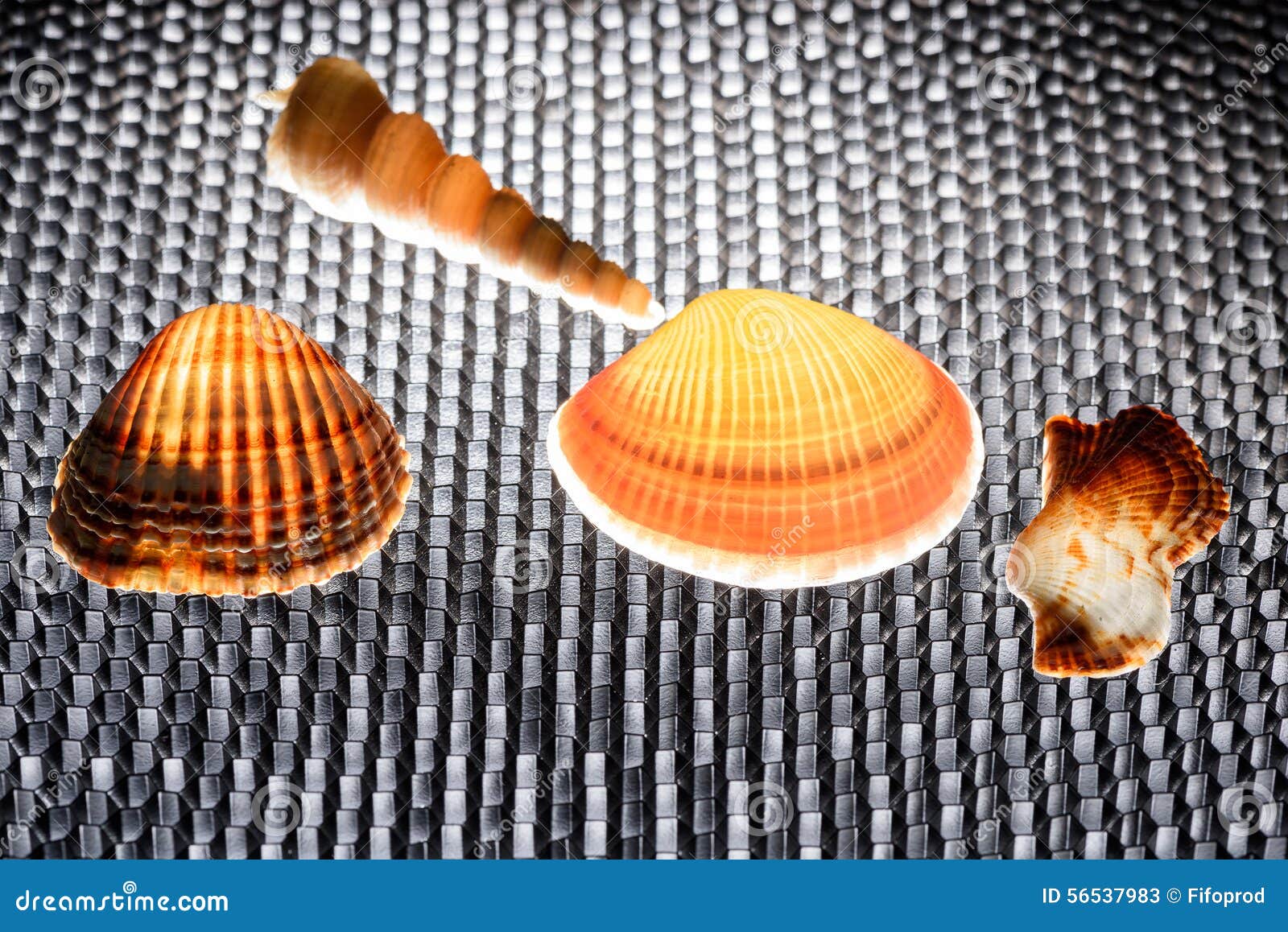 Glowing Shells on a Black Structured Background with Honeycomb Pattern ...