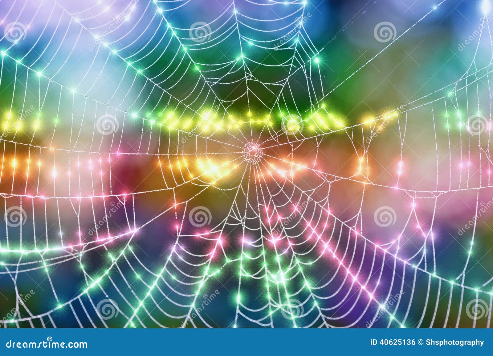 Glowing Spider Web stock photo. Image of luminescence - 40625136