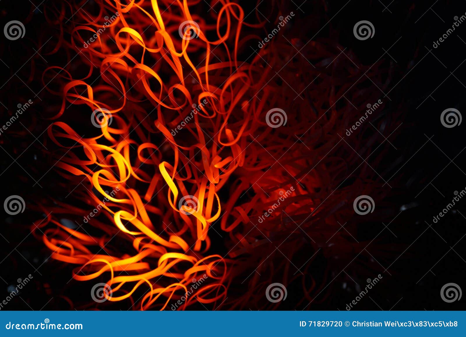 Glowing steel wool stock photo. Image of glow, forge - 71829720