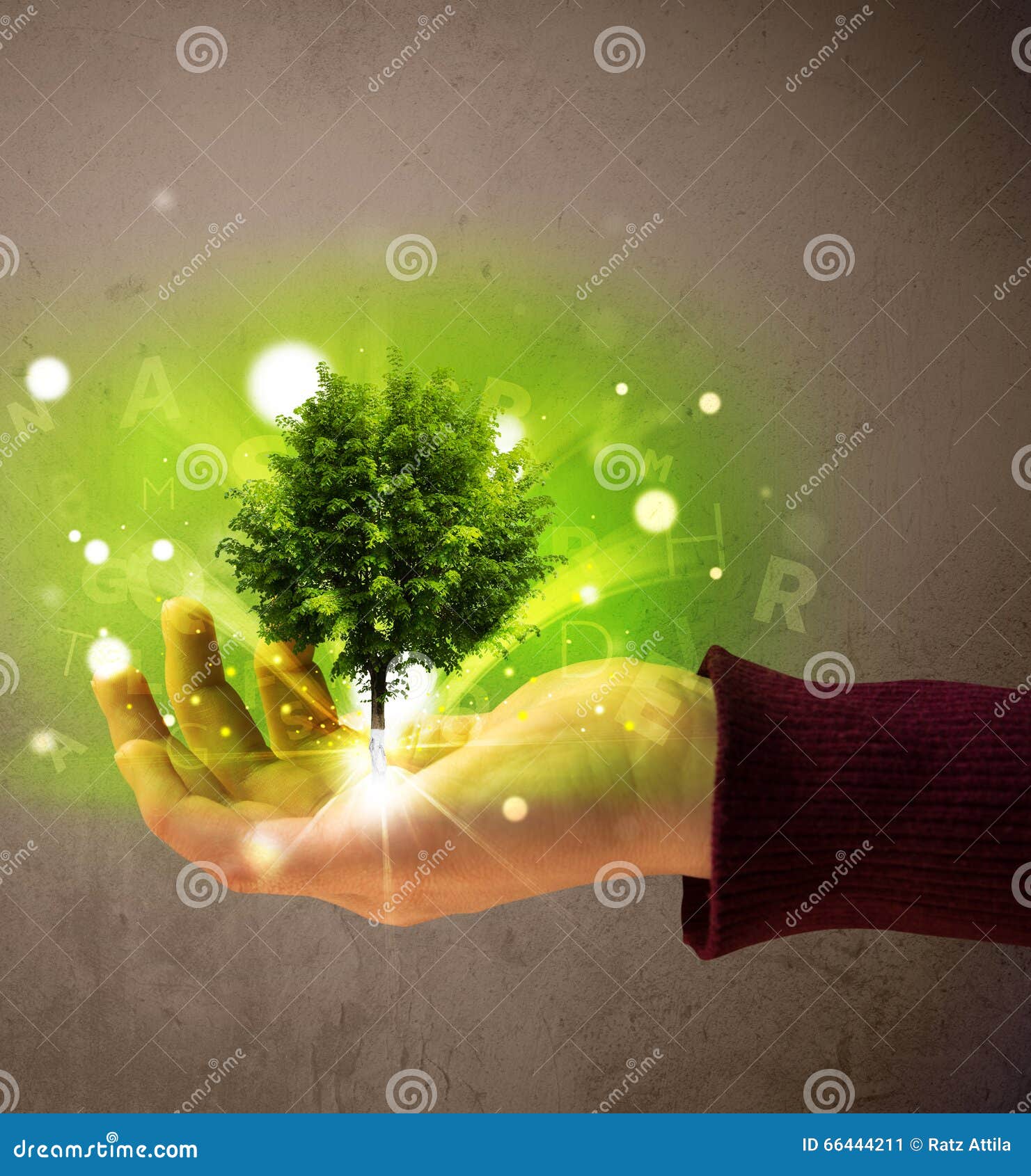 Glowing Tree Growing in the Hand of a Woman Stock Image - Image of ...