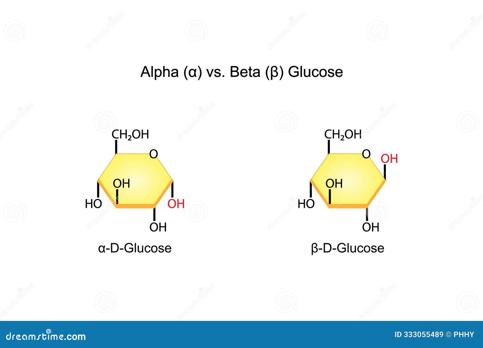 Alpha Versus Beta Glucose. Chemical Structure. Chemistry Scientific ...