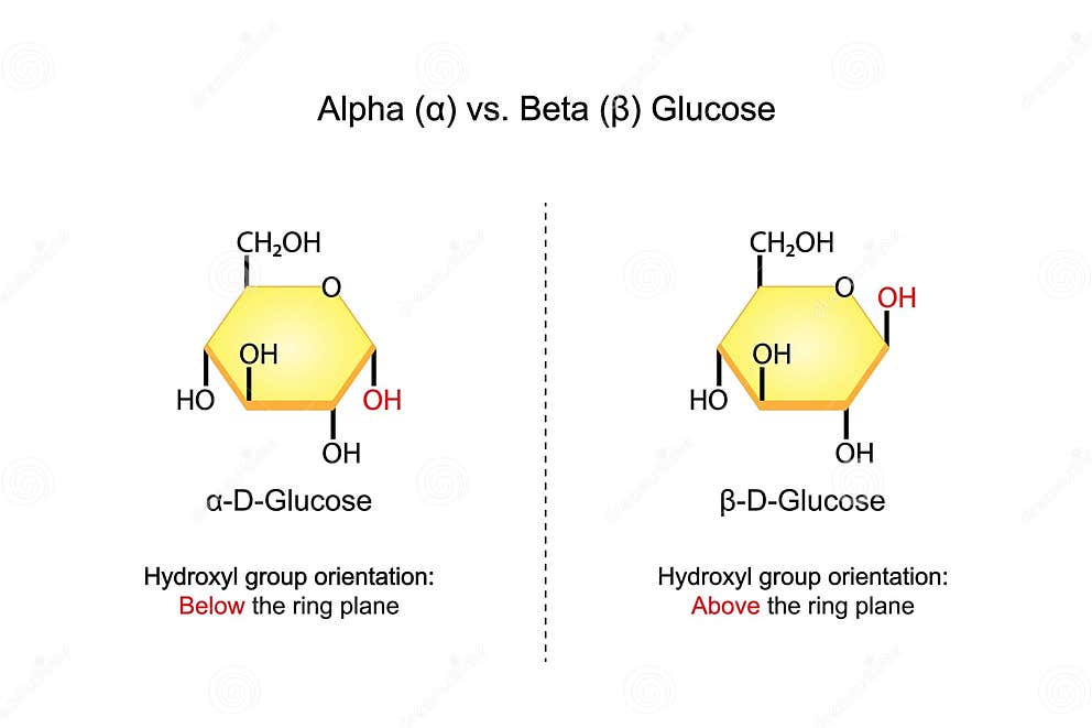 Alpha Versus Beta Glucose. Chemical Structure. Chemistry Scientific Vector Illustration. Stock ...