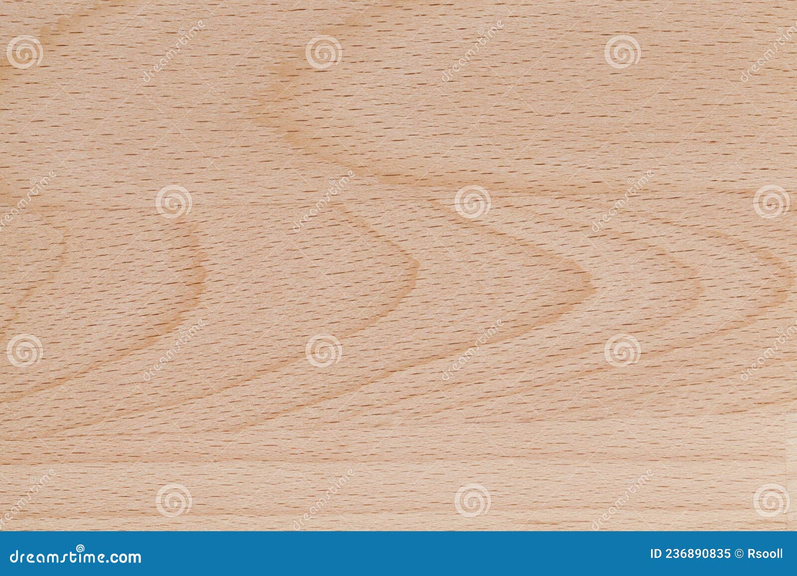 Glued Beech Wood for Making Objects from Wood Stock Image - Image of ...
