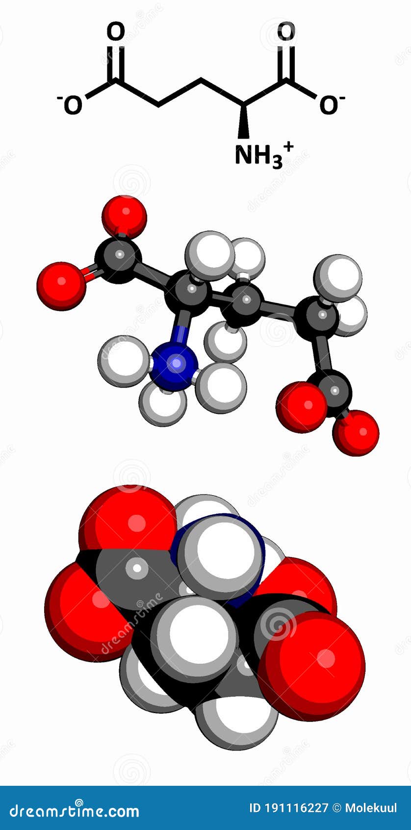Glutamic Acid L-glutamic Acid, Glu, E Amino Acid and Neurotransmitter ...