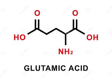 Glutamic Acid Chemical Formula. Glutamic Acid Chemical Molecular ...