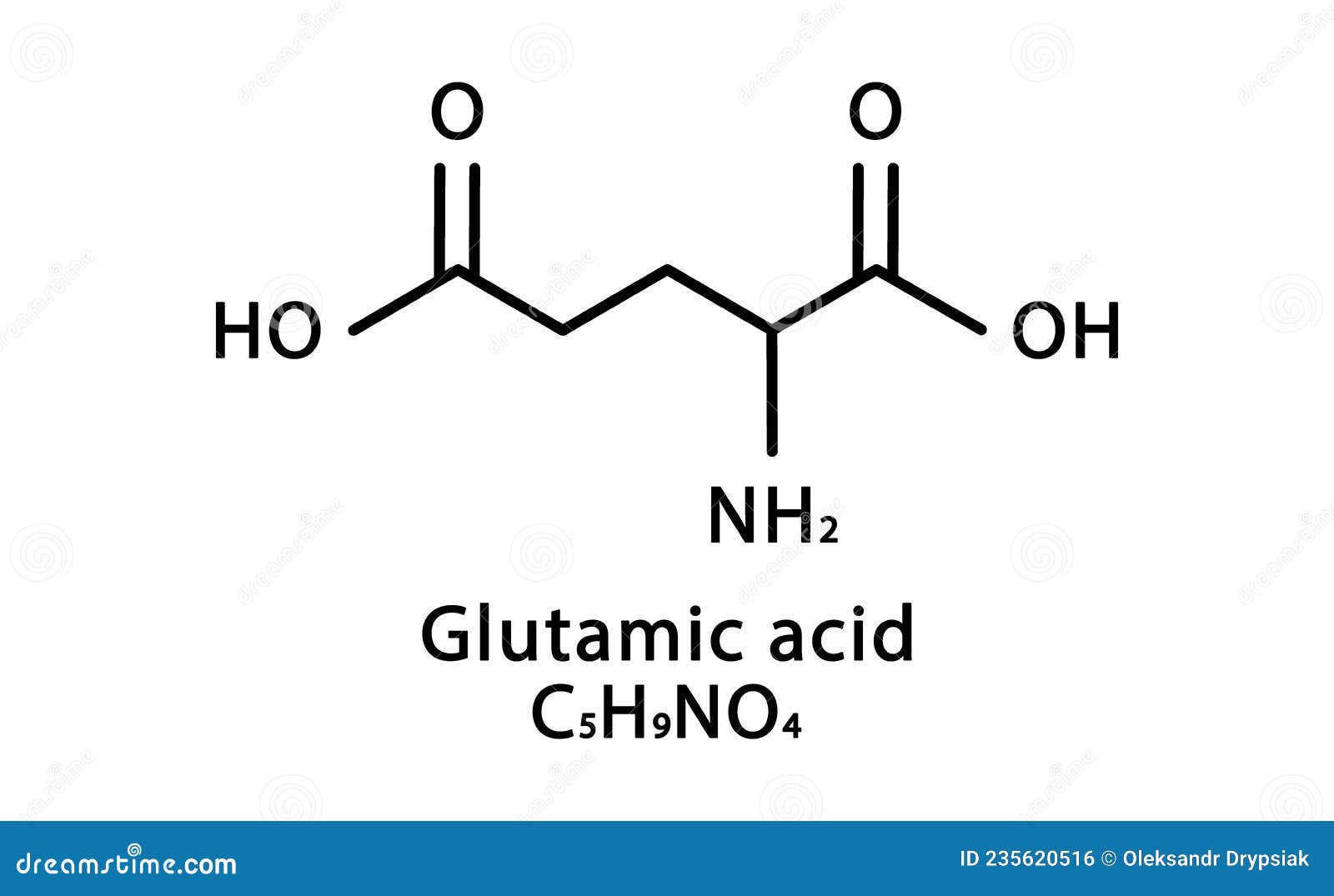 Glutamic Acid L-glutamic Acid, Glu, E Amino Acid And Neurotransmitter ...