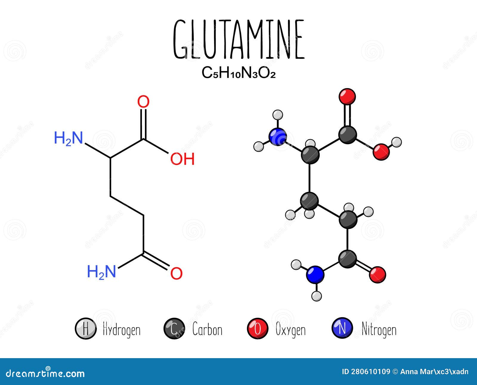 Glutamine Amino Acid Representation. Stock Vector - Illustration of ...
