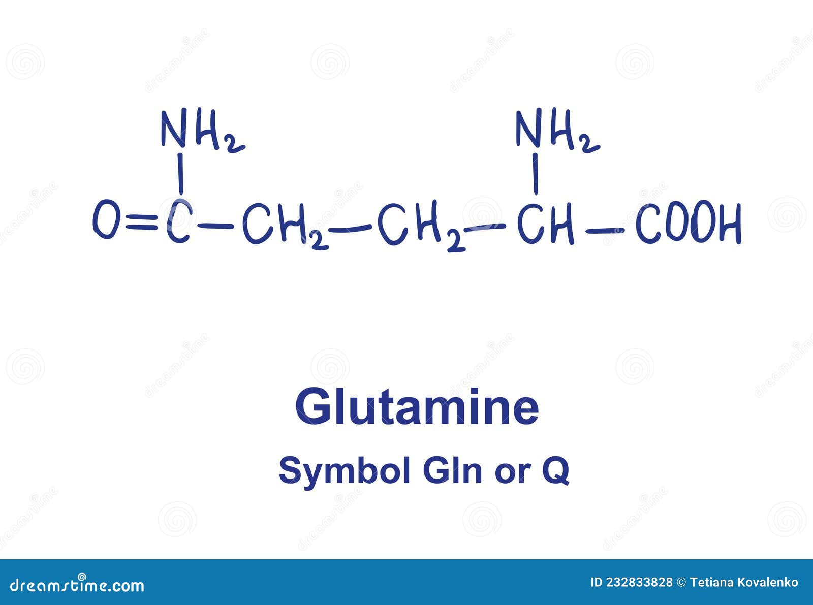 Glutamine Chemical Formula. Glutamine Structural Chemical Formula ...