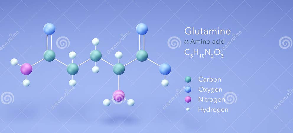 Glutamine, Molecular Structures, Amino Acid, 3d Model, Structural ...